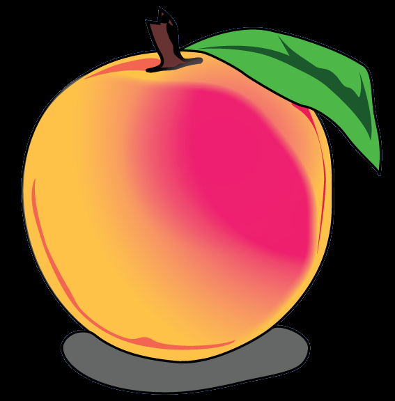 Peach Software v12